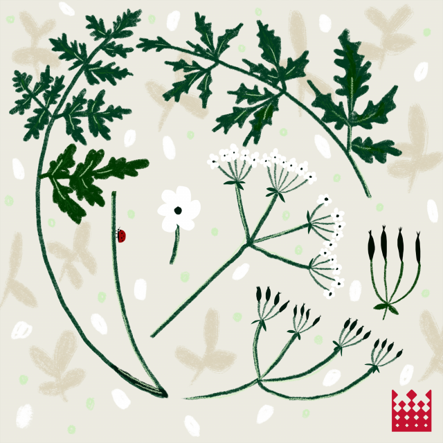 TRYBULA | Narodowe Centrum Kultury